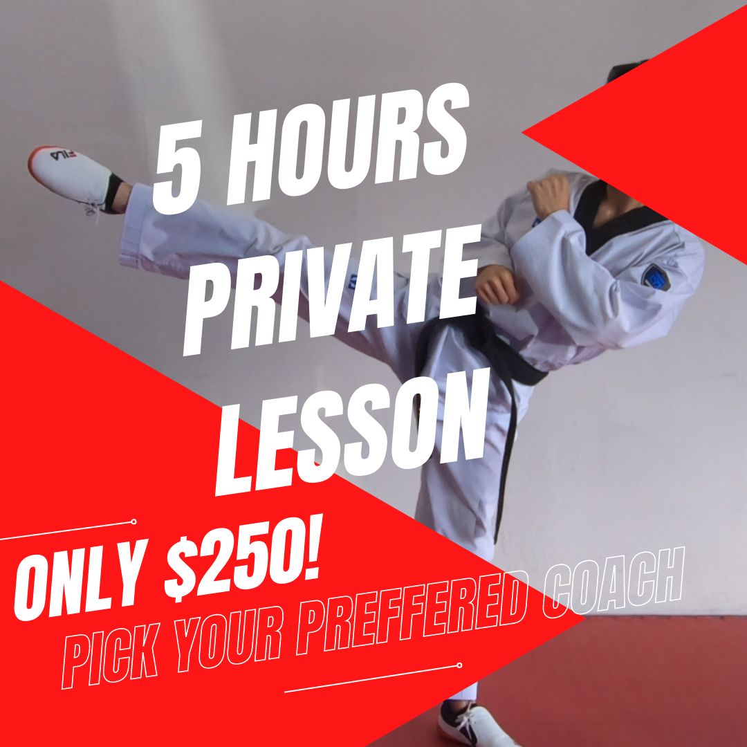 5 Hours Private Lesson Package - Kim's Olympic TaeKwonDo Academy